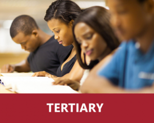 Isidingo Security Services